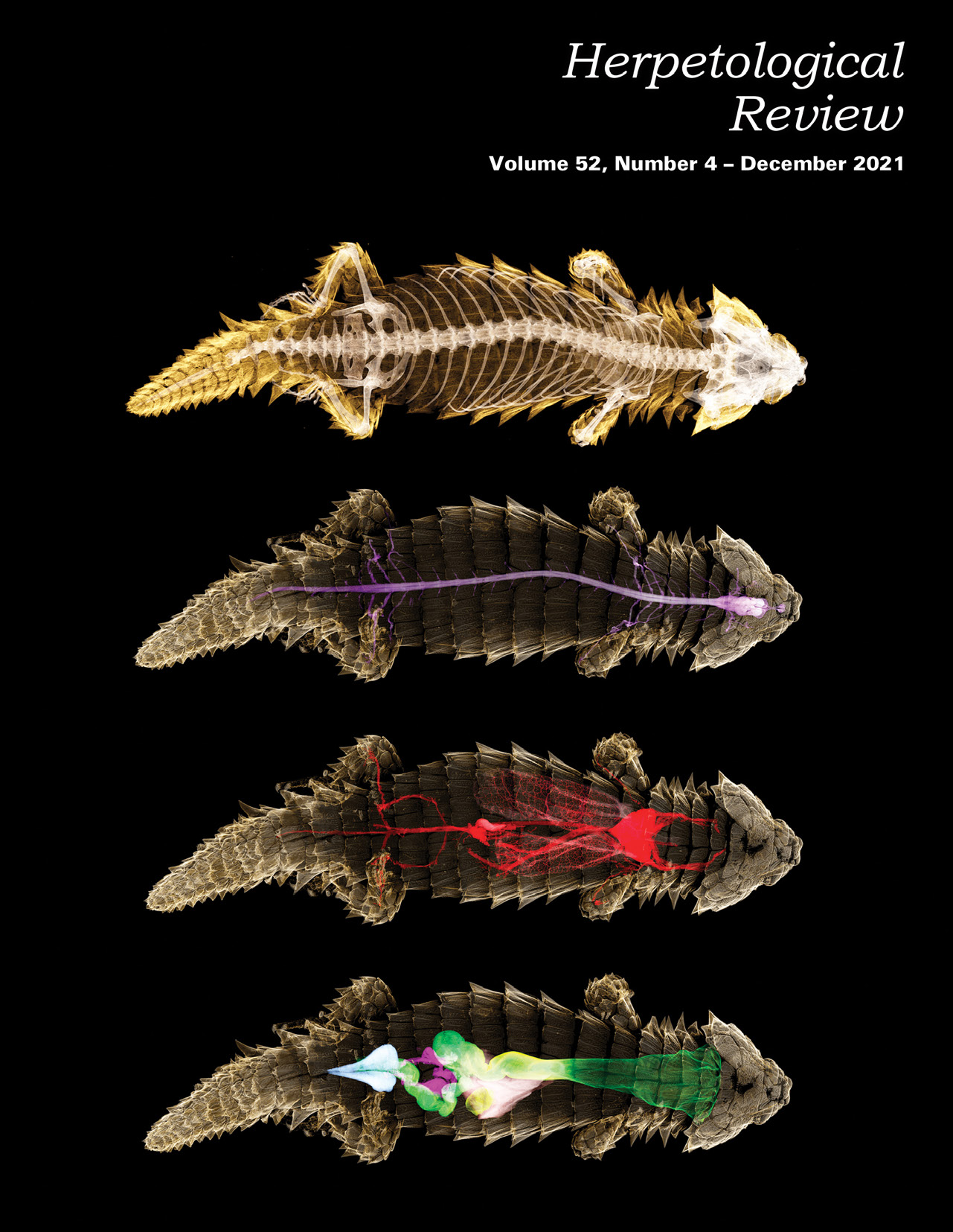 New Publications: new notes on Texas and South Dakota amphibians and ...