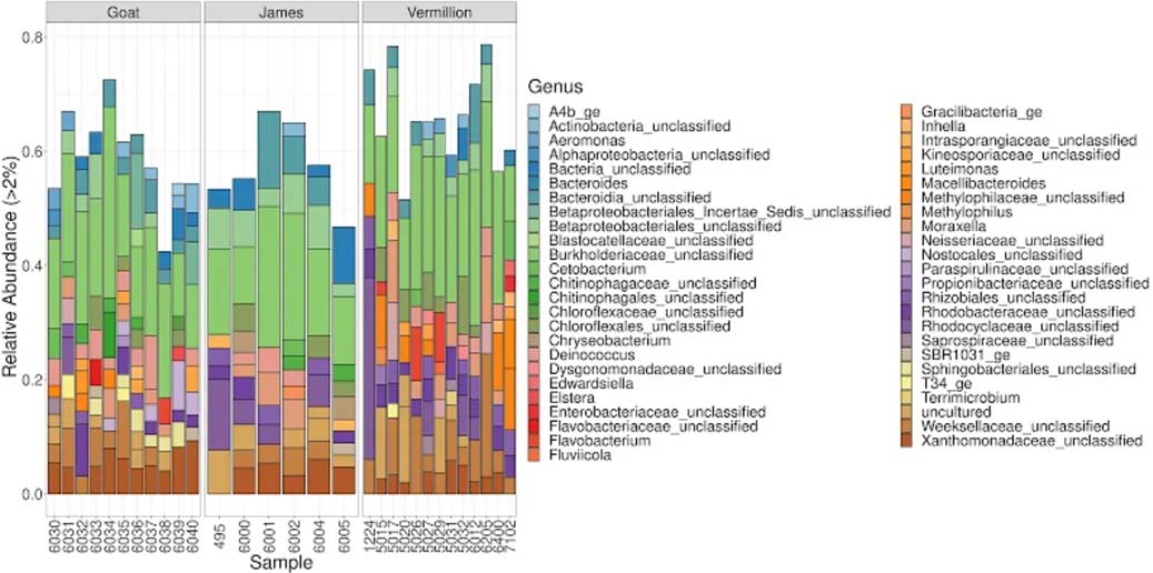 PUBLICATION: spatial variation in turtle microbiota – Drew R. Davis, Ph.D.